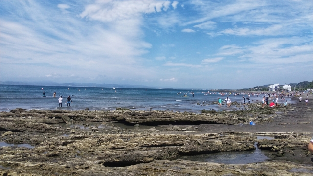Kanto Region Beach Guide by Campervan